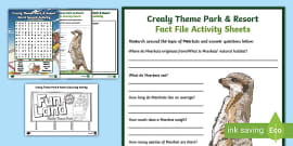 Meerkats Fact File Template (teacher made) - Twinkl