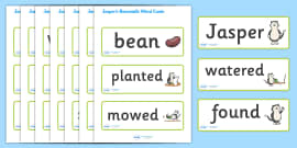 0-100 on Beans (teacher made)