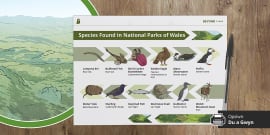 National Parks of Wales: Map (teacher made) - Twinkl