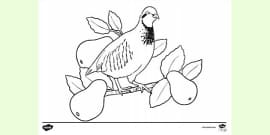 Partridge In A Pear Tree Worksheet / Worksheet - Twinkl