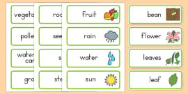 Pond Life Word Cards (teacher made) - Twinkl