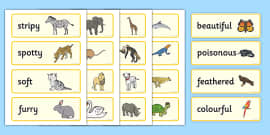 Zoo Animals Adjectives Flashcards - (teacher made) - Twinkl