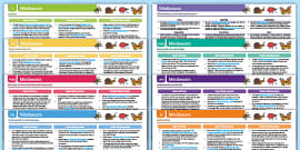 Dinosaurs Planning and Continuous Provision Ideas(Reception)