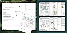 KS3 Photosynthesis Glossary