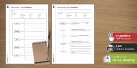 KS3 Menstrual Cycle Graph Worksheet (teacher made) - Twinkl