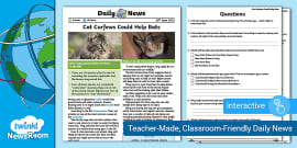 KS1 All About Cats Non-Fiction Differentiated Reading Comprehension ...