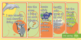 Self-Assessment Display Posters (teacher made)