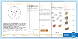 The Stolen Space Suit Literacy Mystery Game