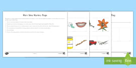 Main Idea Graphic Organizer