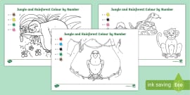 Jungle Colour by Number Counting Worksheet / Worksheet