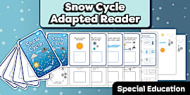 The Life Cycle of Snow Sensory Activity