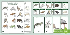Australian Animals List and Pictures | Word Cards | Twinkl