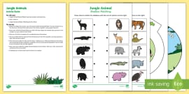 Jungle Animals Word Cards (teacher made)