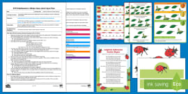 Dotty the Ladybird Doubles Resource Pack (teacher made)