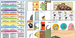 EYFS Ages 3-4 Topic Planning Web: Safari (New EYFS 2021)