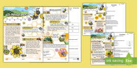 Honeybee Reading Comprehension - Twinkl