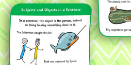 Subject-Verb-Object Display Poster | F-2 Grammar - Twinkl