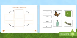 Frog Life Cycle Cut and Paste Activity (teacher made)