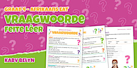Vraagwoorde Flitskaarte
