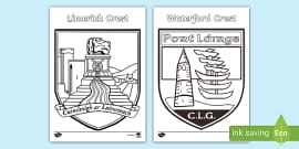 Limerick County Crest Colouring Pages | Twinkl Resources