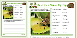 Venus Flytrap Fact File - Twinkl - KS2 (teacher made)
