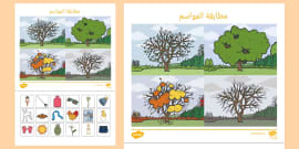 Eid Color by Number (teacher made) - Twinkl