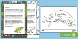 First Grade Chameleon Reading Passage Comprehension Activity