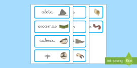 Tarjetas de sílabas: Bajo el mar | Recursos | Twinkl