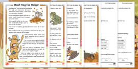Hibernation Reading Comprehension Activity - Twinkl