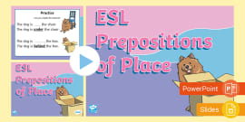 FREE! - Teddy Prepositions PowerPoint - English Positional Language