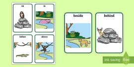 Desert Themed Positional Language Flash Cards (teacher made)