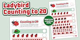 Ladybird Colour Matching Worksheet