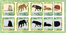 Animal-Themed Shadow Matching Cards
