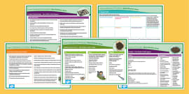 EYFS Investigation Area Continuous Provision Pack - Twinkl