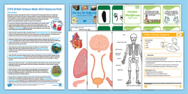 EYFS STEM Week Pack | Early Years STEM Activities | Twinkl