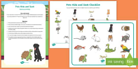 Farm Animals 'Hide and Seek' Sensory Activity (teacher made)