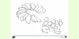 FREE! - Chopped Leek Colouring Sheet (Teacher-Made) - Twinkl