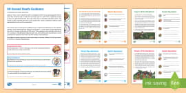 Rainforest Deforestation | Reading Comprehension Activity