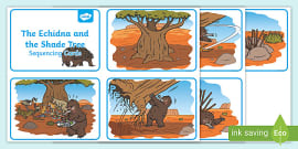 Australian Echidna Facts | What is an Echidna | Echidna Habitats