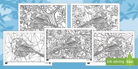White-tailed Sea Eagle Mindful Colouring Pages - Twinkl