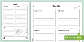 * NEW * Australian Animals Fact File Template,Australian Animals