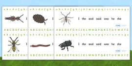 A-Z Alphabet on Minibeasts (teacher made) - Twinkl