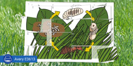 Ant Cut and Stick (teacher made) - Twinkl