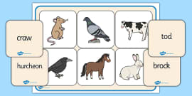 Scots Weather Words Match up Game