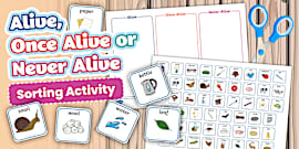 Alive, Used to Be Alive or Never Alive Worksheets