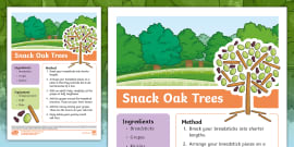 What is an oak tree? | Twinkl Teaching Wiki - Twinkl