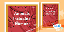 Science: Animals Including Humans Year 6 Unit Pack