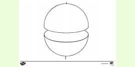 What is a Hemisphere? | Twinkl Teaching Wiki - Twinkl