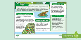 Sloth Fact File - Twinkl - Science - KS1 (teacher made)