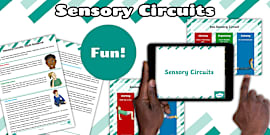 Sensory Circuits Flashcards